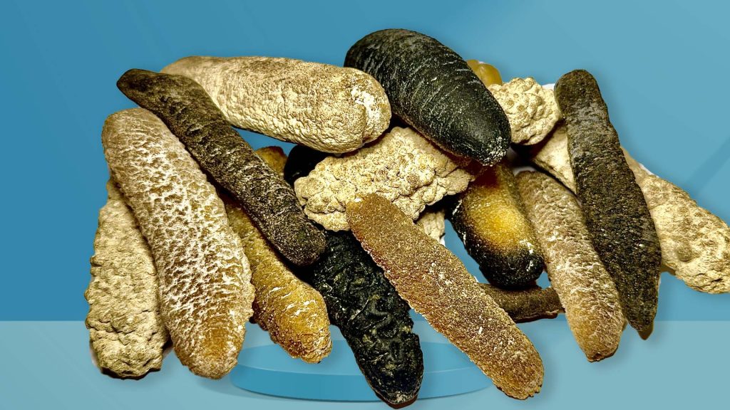 Beach de mer - Mimshach Group